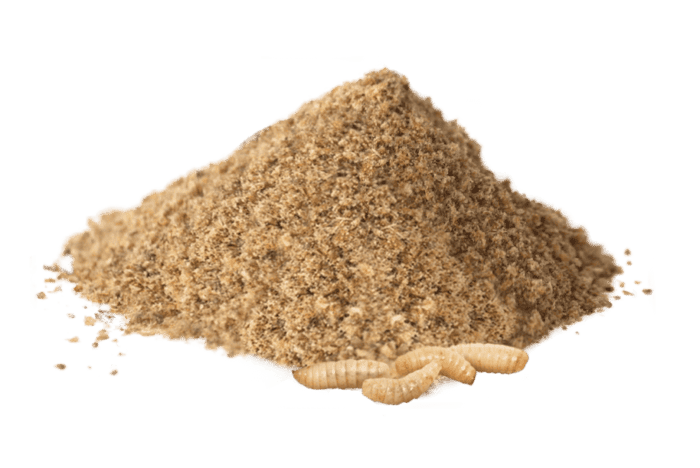 yora-sustainable-cat-dog-food-insect-protein-source - 毛寧 MAONING